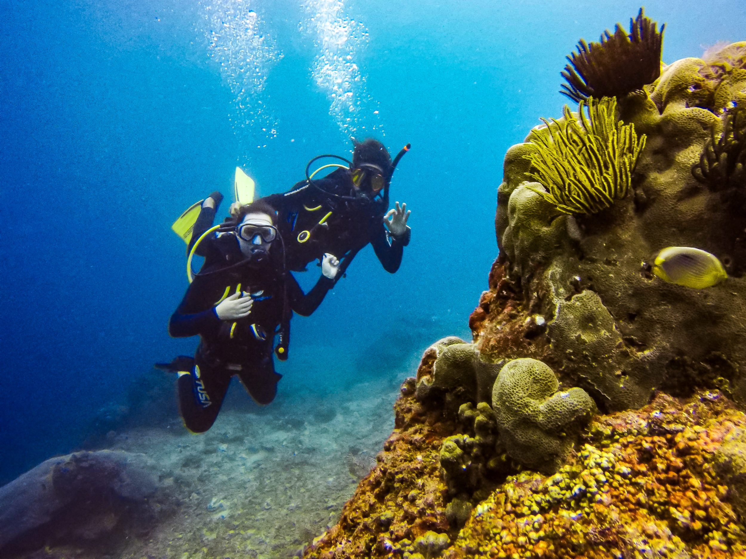 Gallery | Nusa Penida Dive